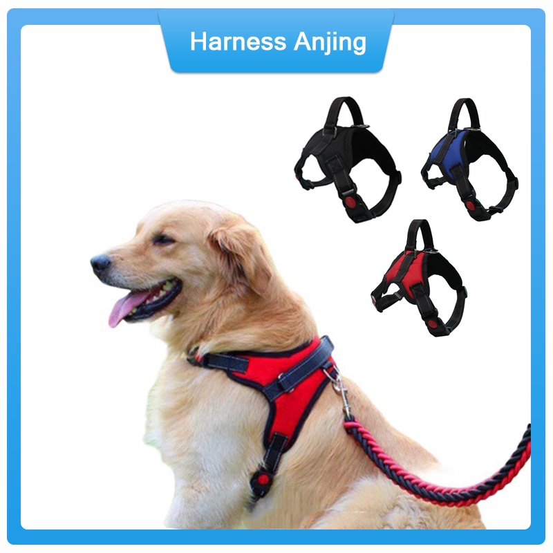 Jual Dog Leash Harness Anjing Tali Tuntun Rompi Anjing Breathable ...