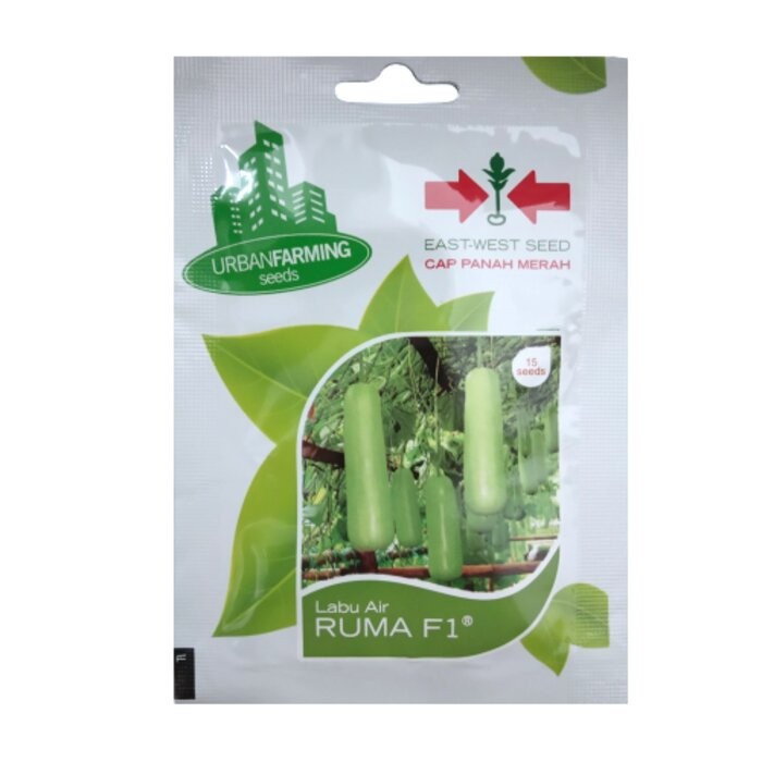 Jual Benih Bibit Labu Air Ruma F1 15 Biji Tanaman Buah Panjang Panah ...