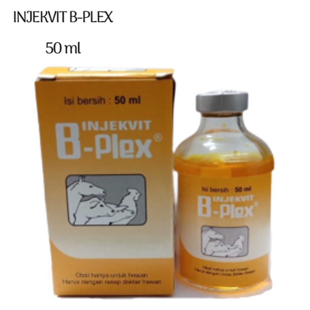 Jual Injeksi Vitamin B Kompleks 50 ml Medion Ayam Kambing Sapi Obat ...