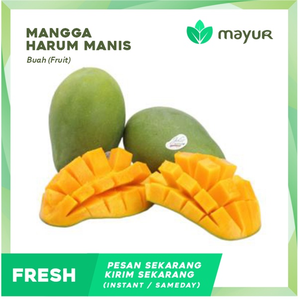 Jual Mangga Harum Manis Alpukat ( 1 kg) | Shopee Indonesia
