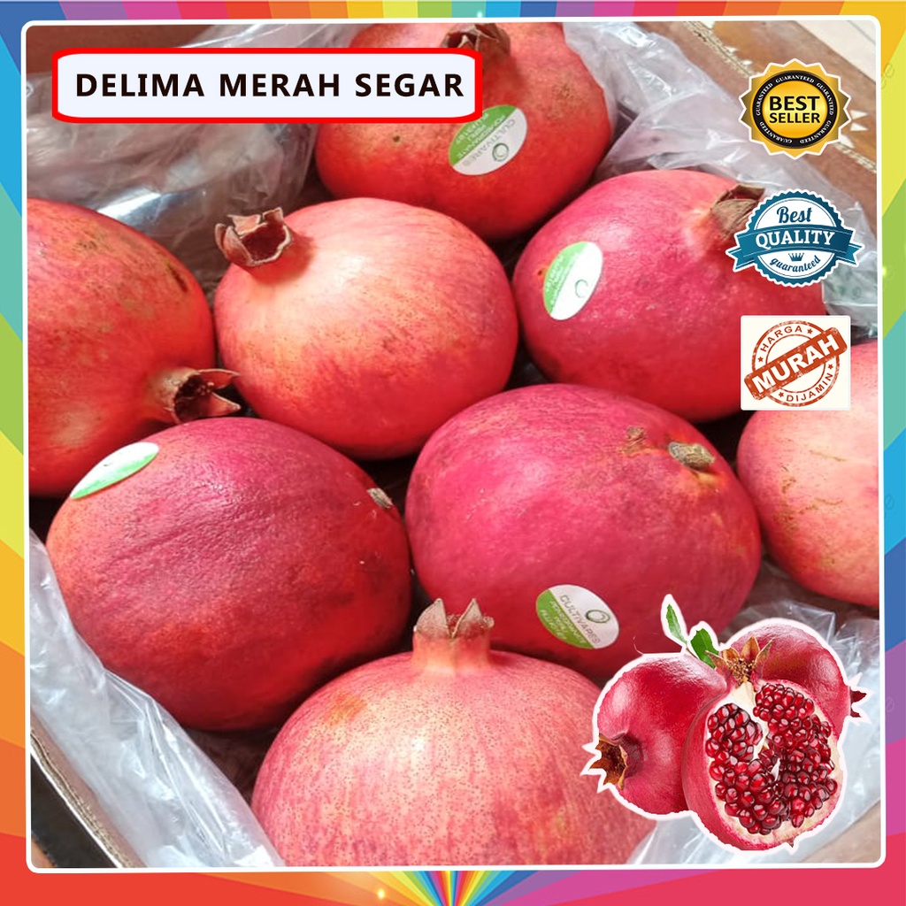 Jual BUAH DELIMA MERAH 1 BIJI VIRALL | Shopee Indonesia