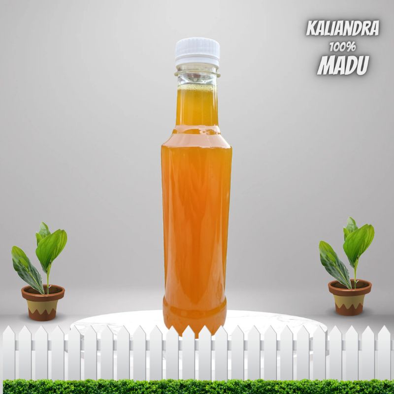 Jual Madu Murni Kaliandra 100% Mentah Hasil Lebah Tanpa Campuran Organik Raw Honey Asli Lebah ...