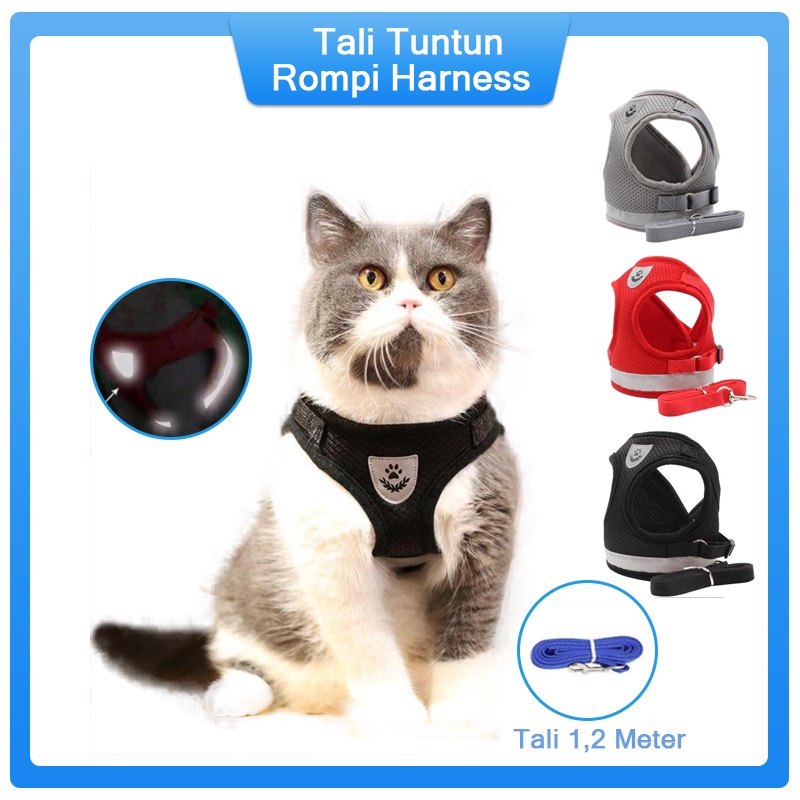 Jual Tali Tuntun Kucing Anjing Tali Kucing Harness Anjing Kucing Tali ...