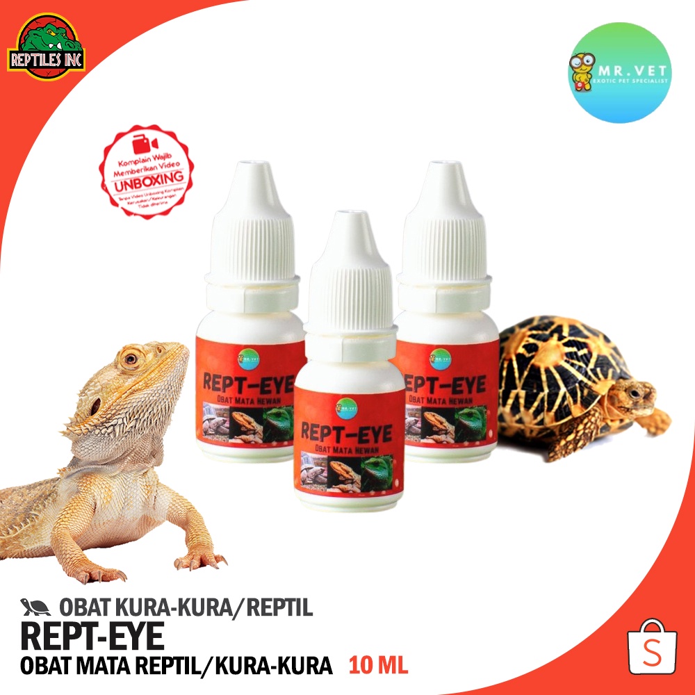 Jual Rept-Eye Obat Tetes Mata Hewan Reptil Torto Sulcata Kura Brazil ...