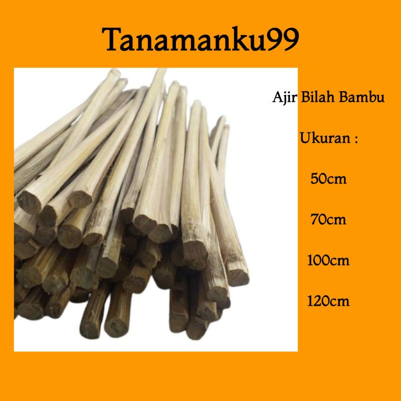 Jual Ajir Bambu Segala Tanaman Berbagai Ukuran | Shopee Indonesia