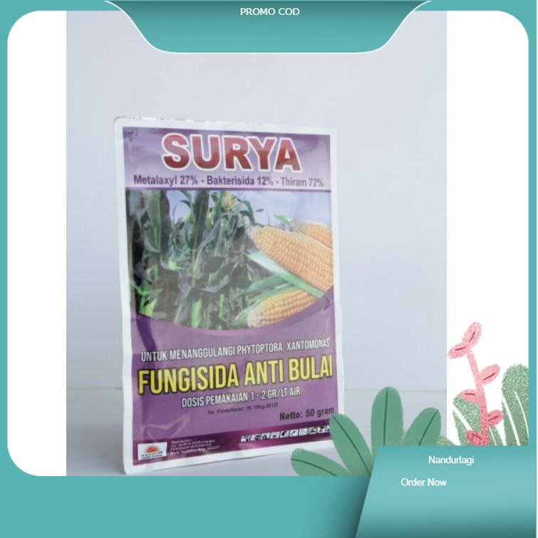 Jual Fungisida Anti Bulai Jagung Anti Bulay Surya Untuk Jagung 50 Gram ...