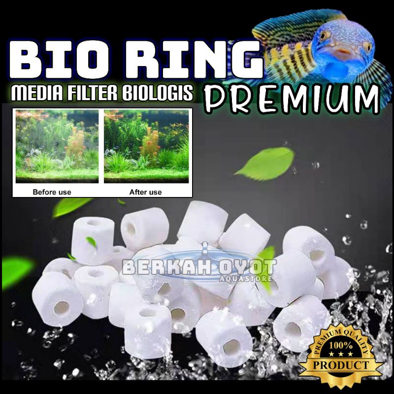Jual BIORING IMPORT MEDIA FILTER PENJERNIH AIR KEMASAN 1 Kg | Shopee Indonesia