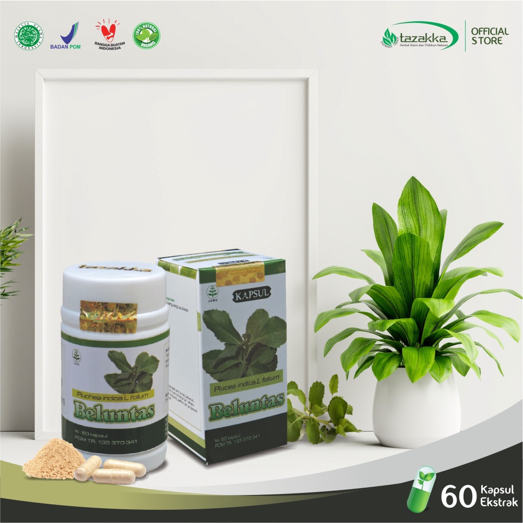 Jual Tazakka Daun Beluntas Kapsul Obat Penghilang Bau Badan dan Ketiak ...