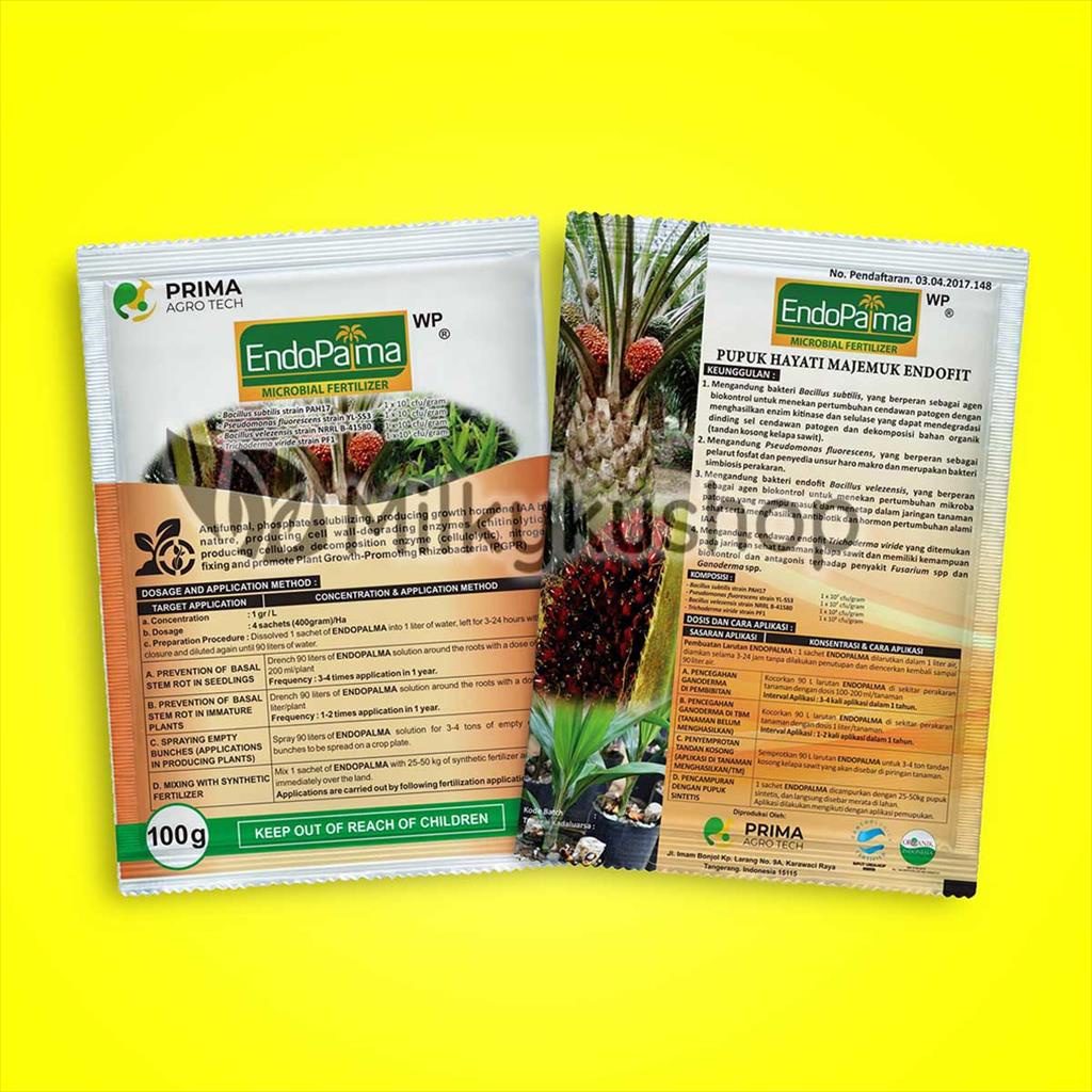 Jual PUPUK HAYATI ENDOPALMA WP 100 GRAM PER SACHET KAN PAK | Shopee ...