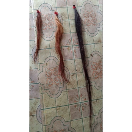 Jual Rambut untuk Mandau Asli KUDA + BONUS Perekat Rambut M4nd4u asli ...