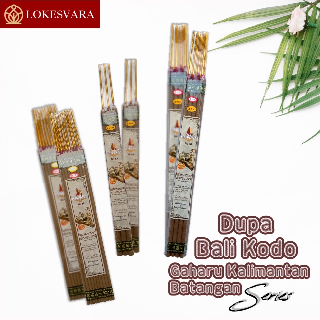 Jual Dupa Hio Wangi Harum Bali Kodo Gaharu Kalimantan Batang Putih ...