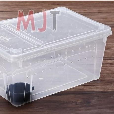 Jual Kandang Tarantula Enclosure Tarantula Box Reptil M 26x17.5x11.5cm ...