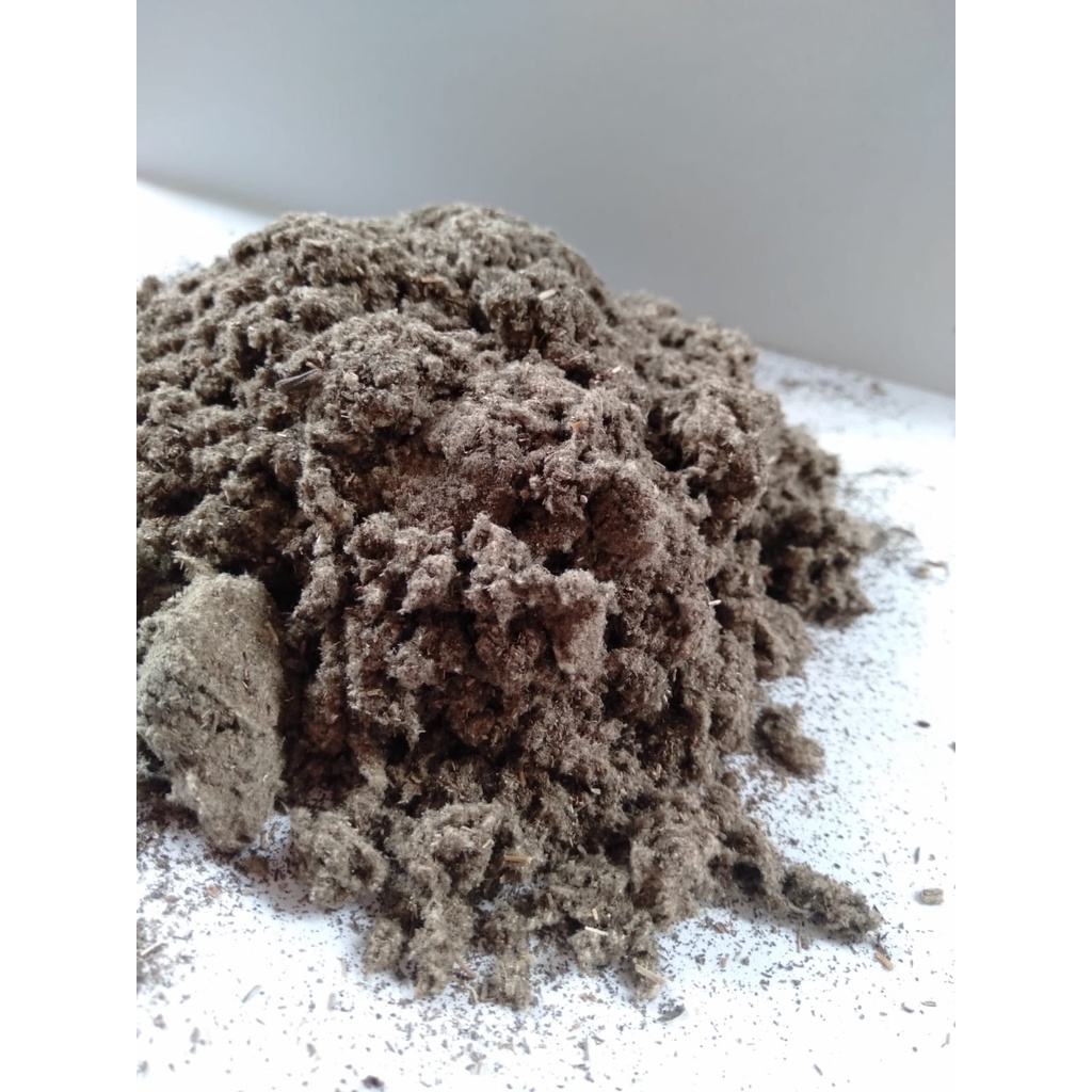 Jual Bubuk Daun Baru Cina / Artemisia Vulgaris / Damong Maria 100gr ...