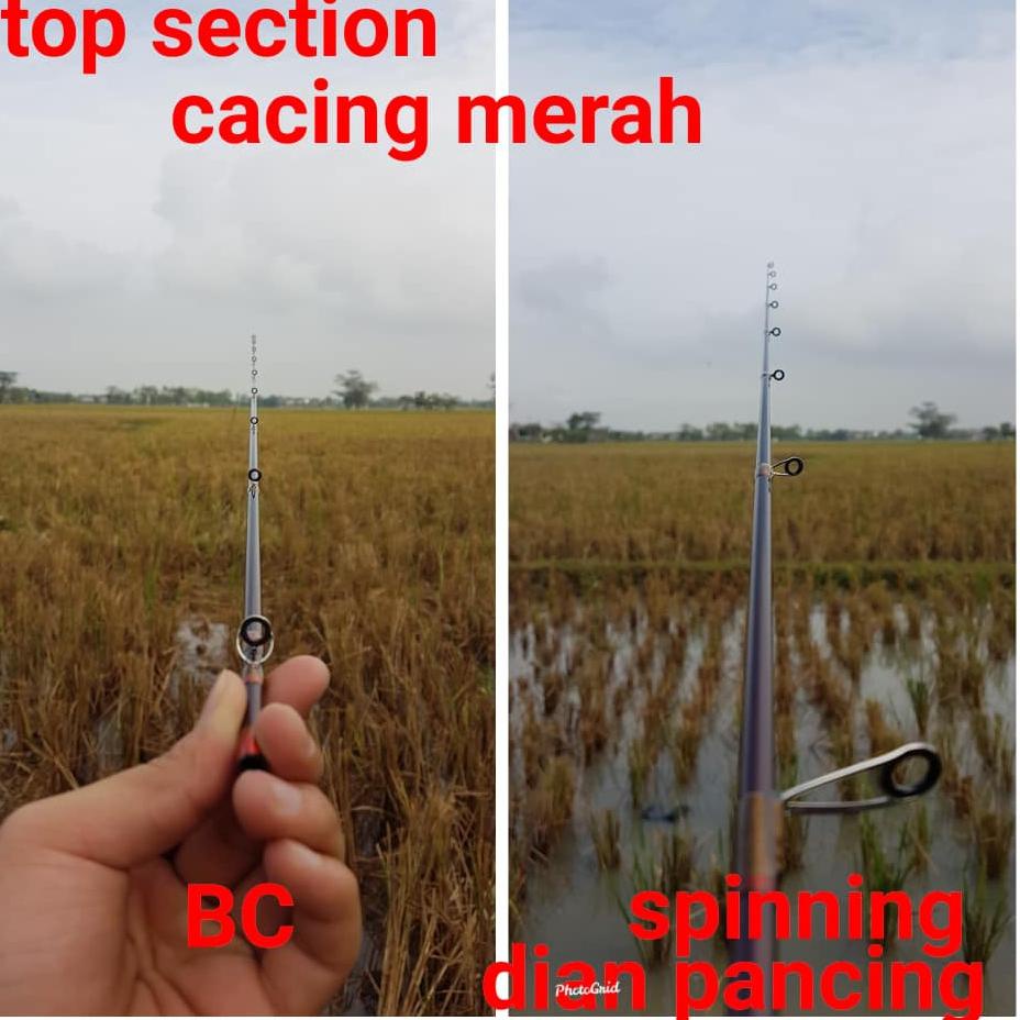 Jual [KODE KCHOG] Top section Joran Cacing merah Bc dan Spinning 17Lb ...
