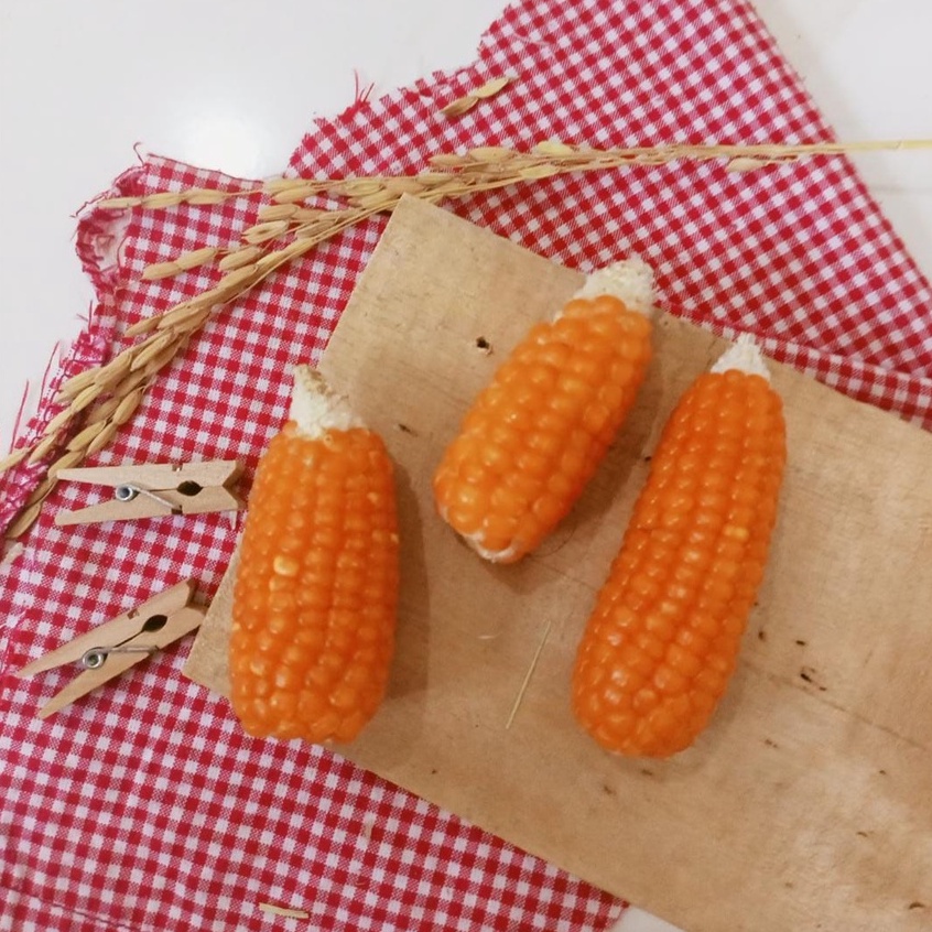 Jual Mini corn | Mini Dried Corn Organic | Snack Hamster | By hammys ...