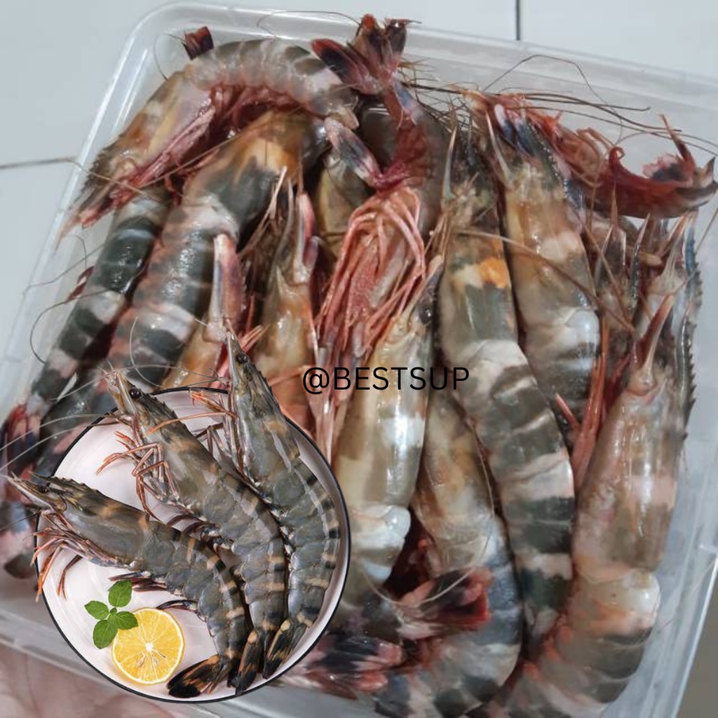 Jual Udang Windu 1 Kg - Tiger Prawn | Shopee Indonesia