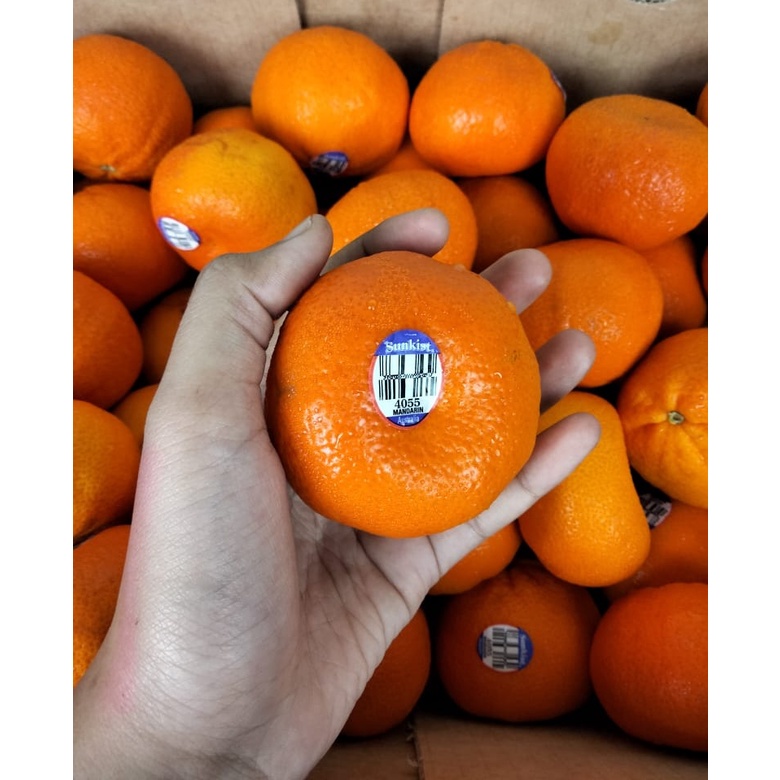 Jual LOLA Langsung Order Langsung Antar Jeruk Afourer Mini Oranges ...