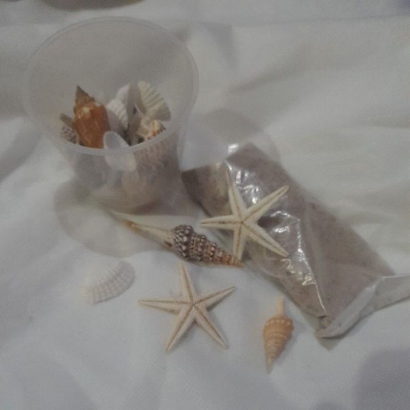 Jual Hiasan/Property foto unik Bintang Laut,kerang,pasir dll | Shopee Indonesia