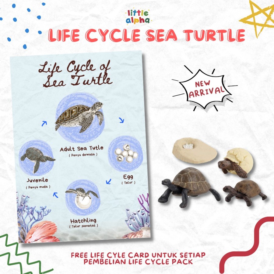 Jual LITTLE ALPHA Mainan Siklus Hidup Hewan - Life Cycle Animal - Life ... Jual LITTLE ALPHA Mainan Siklus Hidup Hewan - Life Cycle Animal - Life ...
