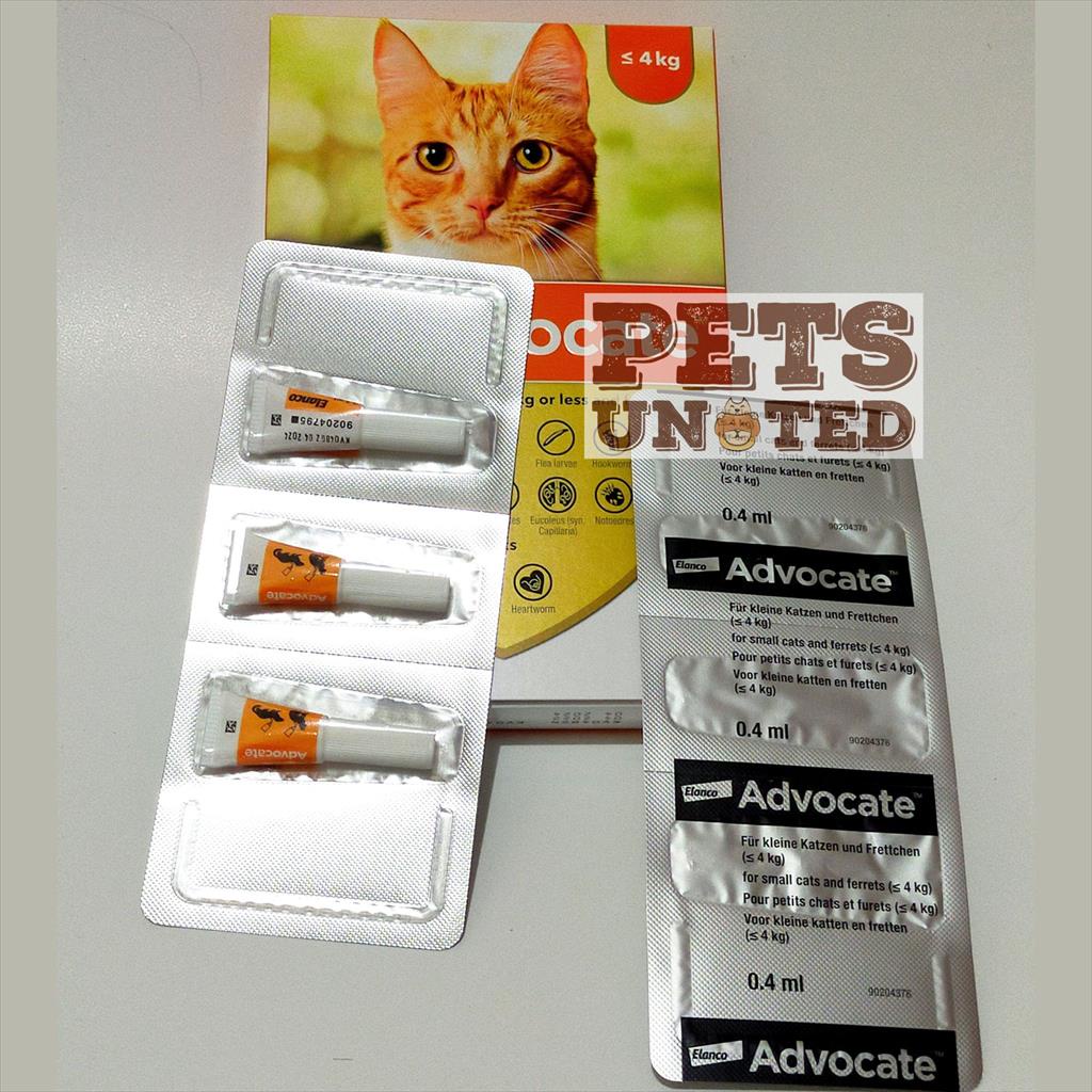 Jual Advocate Cat Obat Kutu Kucing Berat Badan Sampai 4kg (1 Tube ...