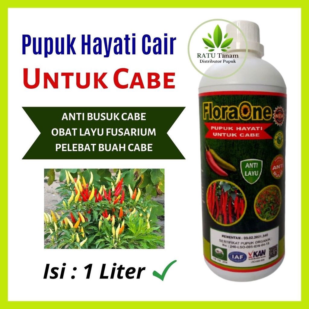 Jual Pupuk Cabe Terbaik, Pupuk Hayati Cair Pelebat Cabai Rawit Merah, Pupuk Saat Berbunga Dan ...