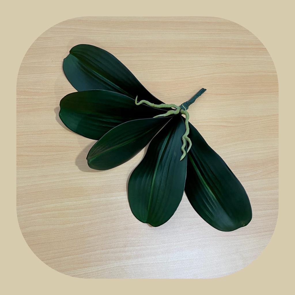 Jual Daun Anggrek Latex Premium Tebal / Artificial Daun Anggrek Besar 5 ...