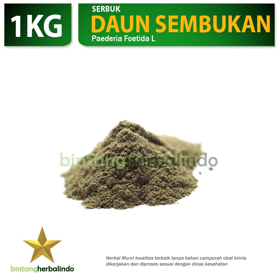 Jual Serbuk Herbal DAUN SEMBUKAN Pelancar Urine Sakit Kuning Cacar Maag ...