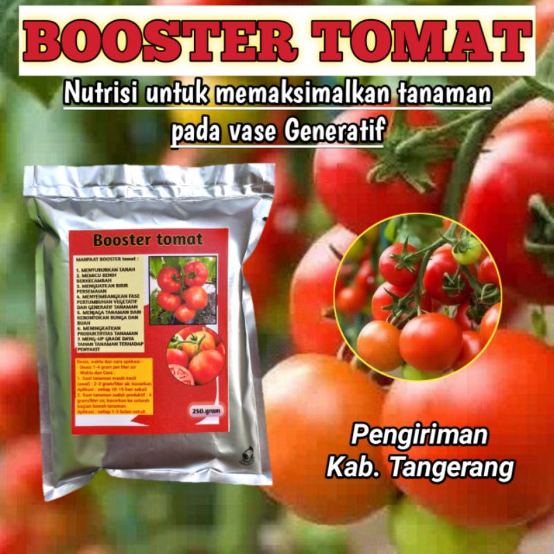 Jual Pupuk booster tomat perangsang bunga dan pelebat buah kemasan 250 gram bisa cod promo ...
