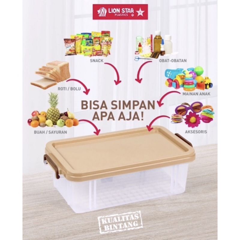 Jual [WARNA RANDOM] LION STAR Clear Box No. 10 FX-3 Kontainer Plastik ...