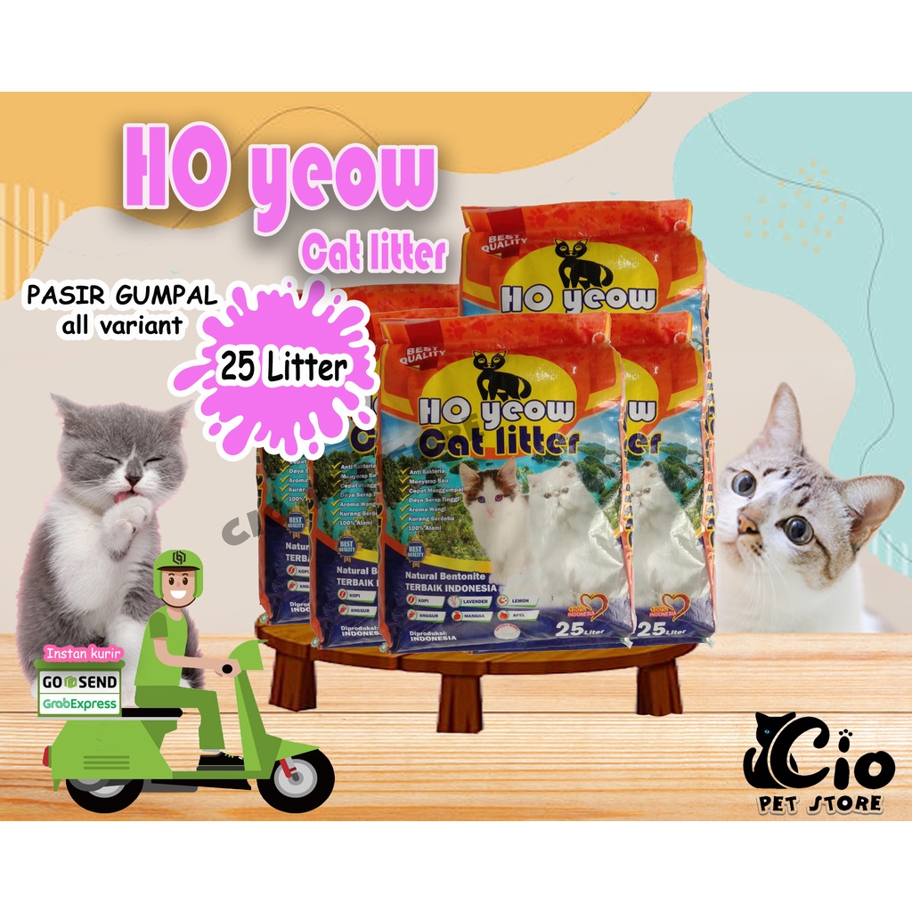 Jual Pasir kucing BOGOR Ho yeow 25 Liter Pasir Gumpal (Grab & Gojek ...