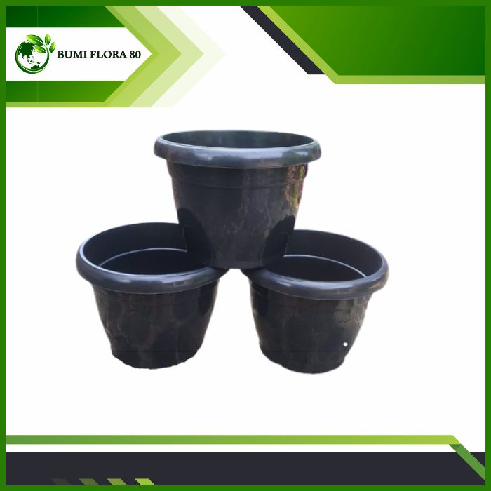 Jual pot besar tulip hitam globallion 40/pot tulip hitam globallion 40 ...