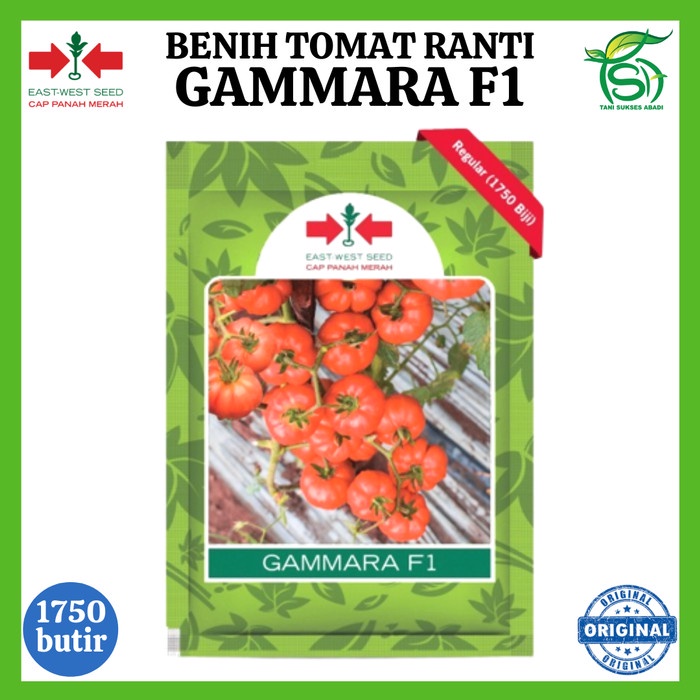 Jual Benih Tomat Ranti/Mawar GAMMARA F1 (1.750 Butir) - Bibit Setipe ...