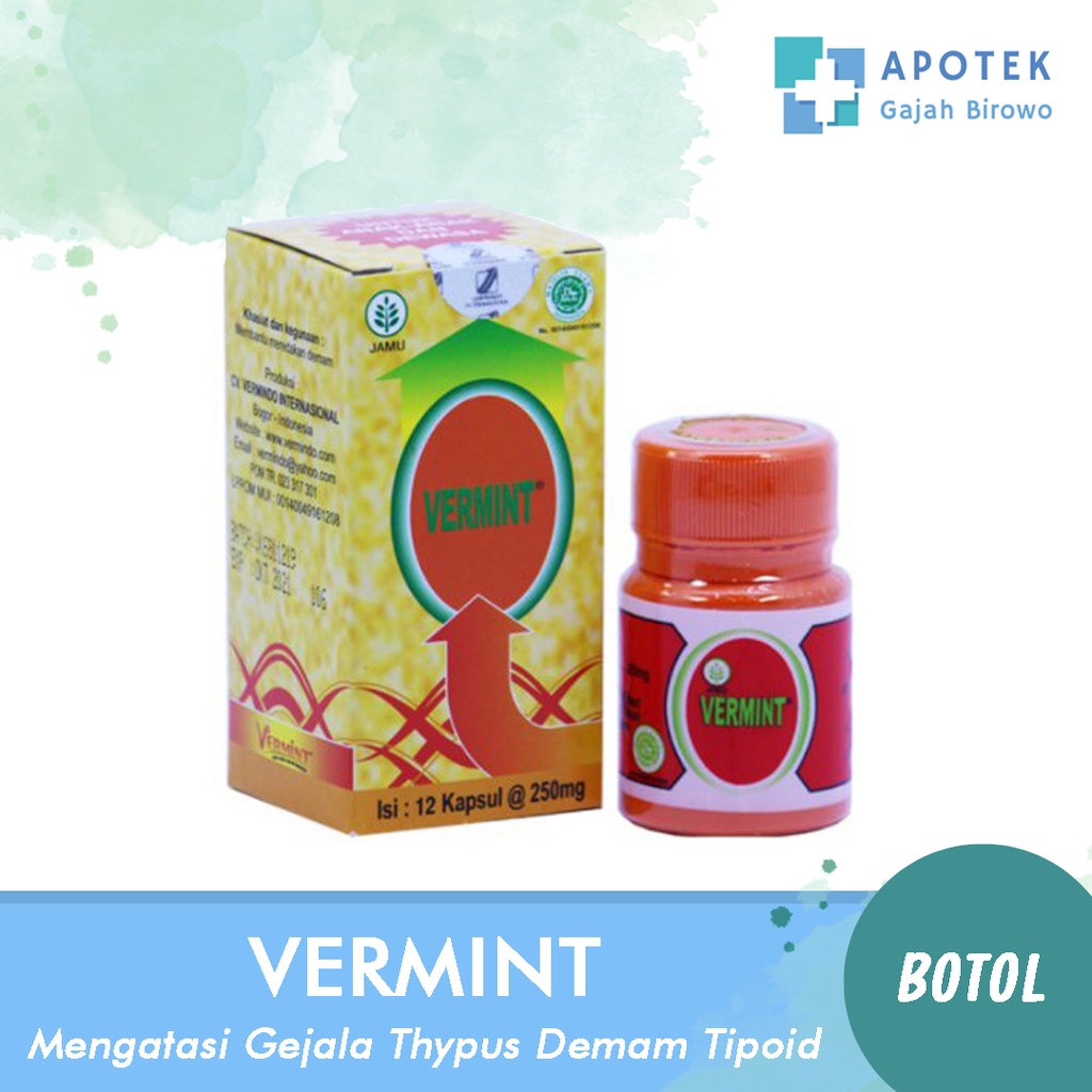 Jual Vermint Isi 12 Kapsul Ekstrak Cacing Untuk Thypus Tifus Tipes ...