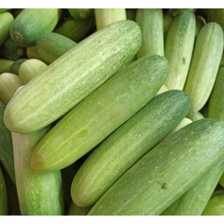 Jual Timun 1 Kg Terlengkap & Harga Terbaru April 2025 | Shopee Indonesia