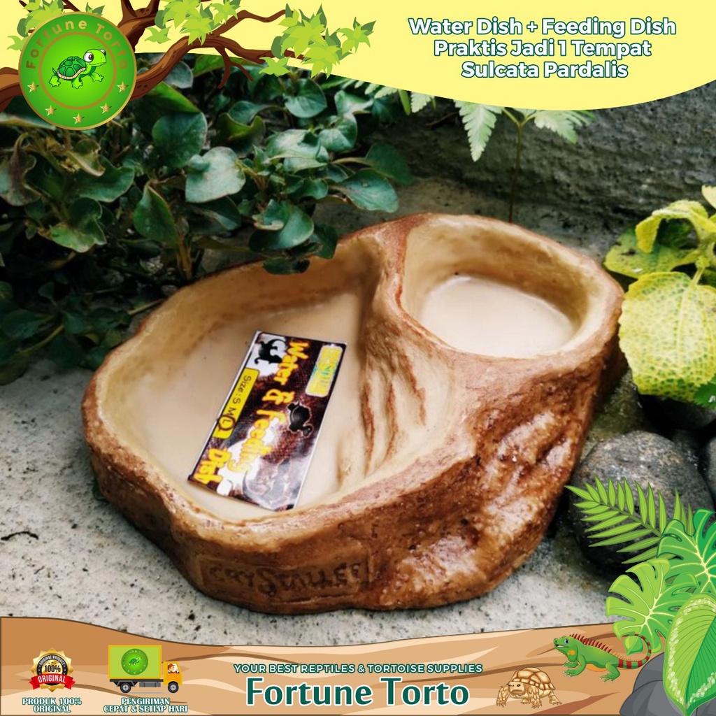 Jual Water Dish + Feeding Dish - Praktis jadi 1 tempat - Sulcata ...