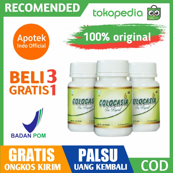 Jual Colocasia obat herbal nyeri sendi dan tulang COLOCASIA 100% ...