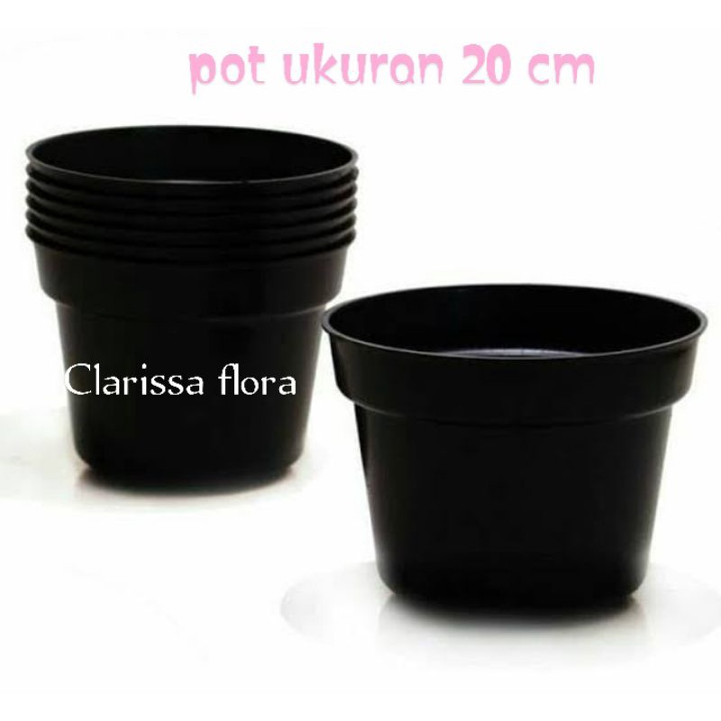 Jual Pot tanaman hias ukuran 20 cm / pot warna hitam ukuran 20cm / pot ...
