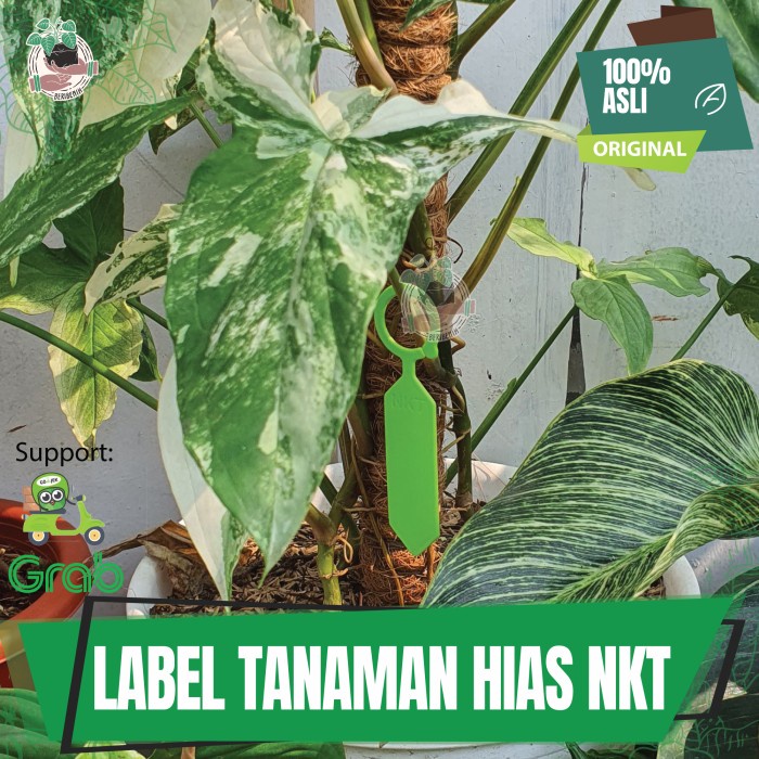 Jual Label Tag Tanda Tulis Nama Tanggal Tanaman Hias Bibit Bunga Pot NKT Label Tanaman Warna ...