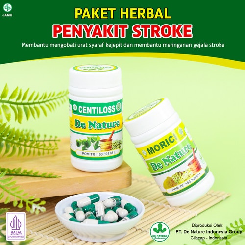 Jual Obat Stroke ringan | Stroke berat dan Herbal obat darah tinggi ...