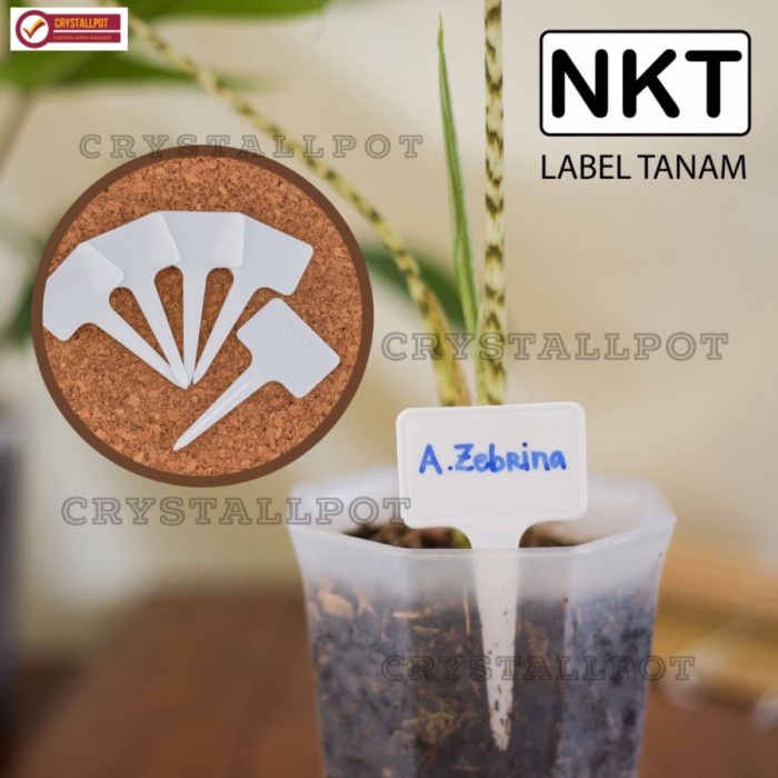 Jual Label Tag Tanaman Hias Bunga Buah TANCAP Tanda Nama Tanggal Tanam Pot Label Tag Tanaman ...
