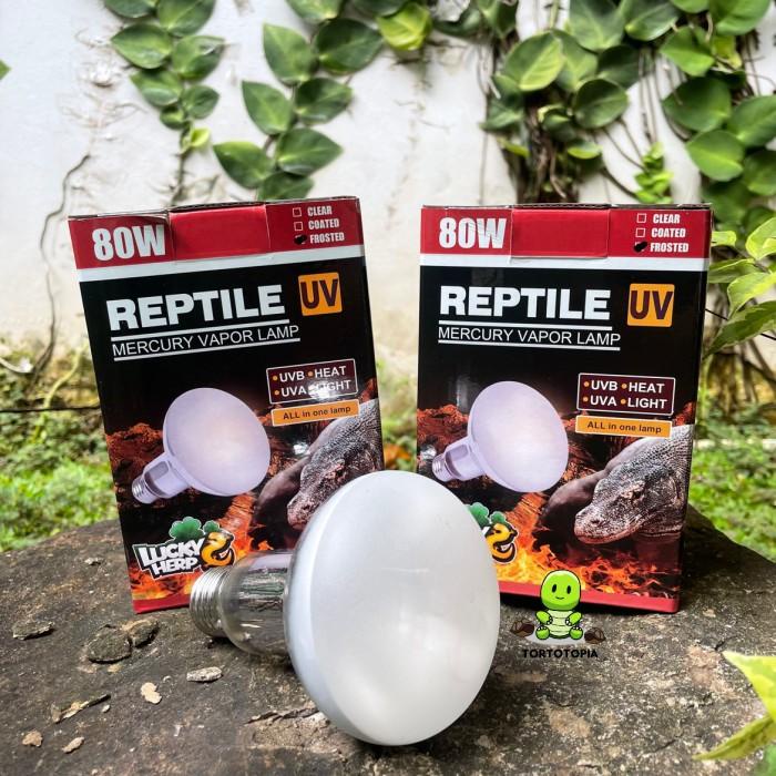 Jual Lampu Uva Uvb Mercury Vapor 80W Lucky Herp Torto Sulcata Kura Reptile | Shopee Indonesia