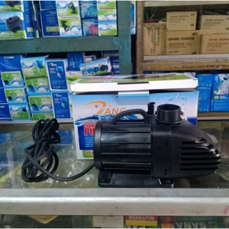 Jual YANG YP - 8000 C ( Control Kecepatan Air ) 80 watt 8000 L/jam ...