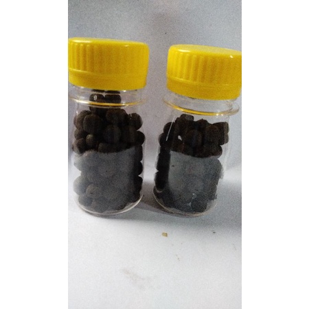 Jual pil Manjakani cirebon perapet Anti selingkuh harga per pcs ...