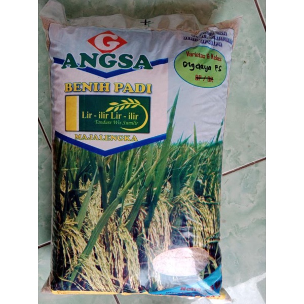 Jual BENIH PADI INPARI DIGDAYA LABEL PUTIH | Shopee Indonesia