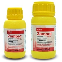Jual FUNGISIDA ZAMPRO 525 SC - 100 ML - JAMUR BATANG | Shopee Indonesia