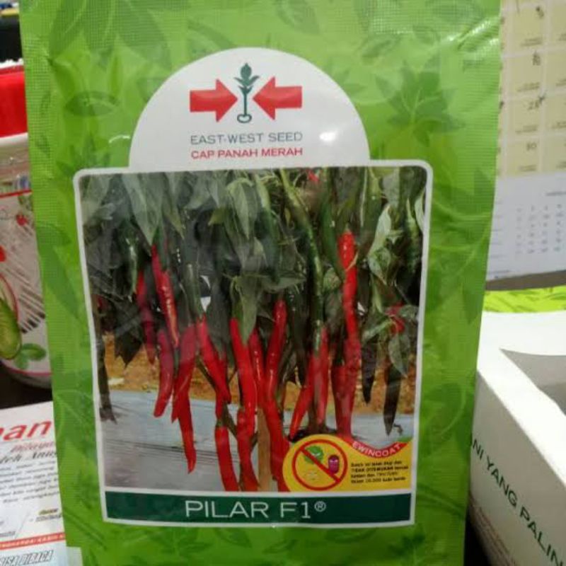 Jual BENIH CABE BESAR PILAR F1/10 GRAM/1500 BUTIR | Shopee Indonesia