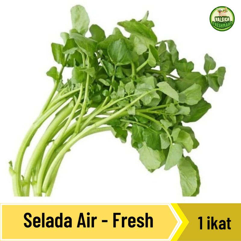Jual Selada Air Segar - 1 ikat | Shopee Indonesia