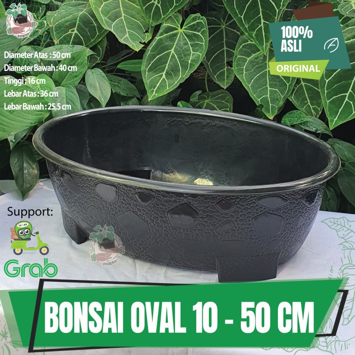 Jual Pot Bunga Tanaman Hias Bonsai Oval 10 50cm Ceper Pendek Tebal ...