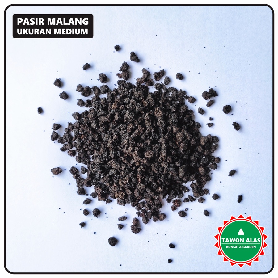 Jual Pasir Malang 1/2 kg Media Tanam dan Aquascape | Shopee Indonesia