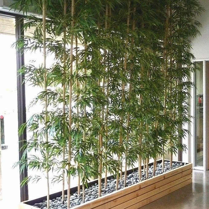 Jual Jasa Pembuatan Taman Bambu Kuning Mini Tinggi 1-3 Meter | Shopee ...